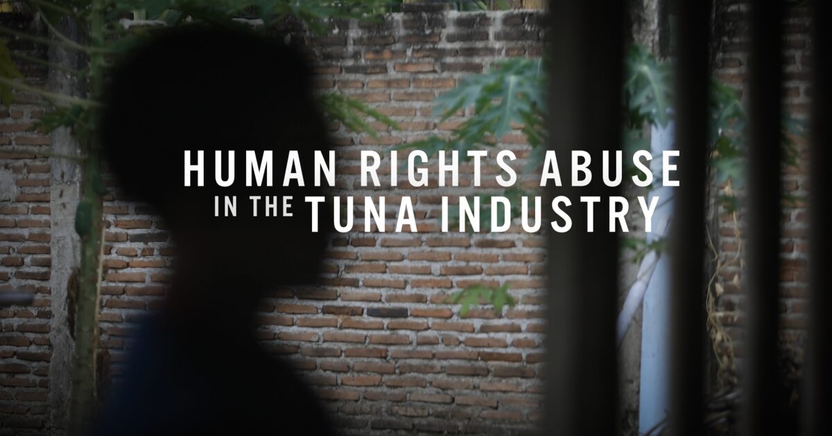 Environmental Justice Foundation | Human rights abuse in the tuna…