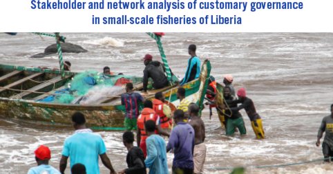 Environmental Justice Foundation | Who decides? Stakeholder and…