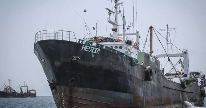 Environmental Justice Foundation | Pair Trawling: Frontline View