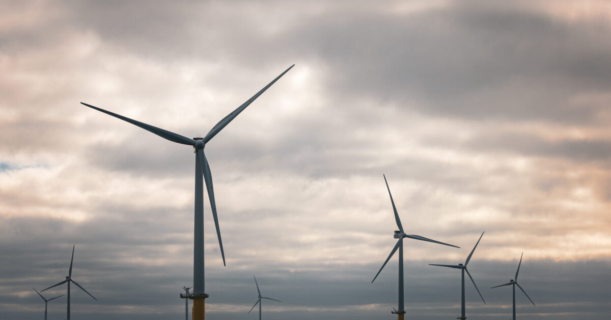 Environmental Justice Foundation | Unlocking the power of a truly…