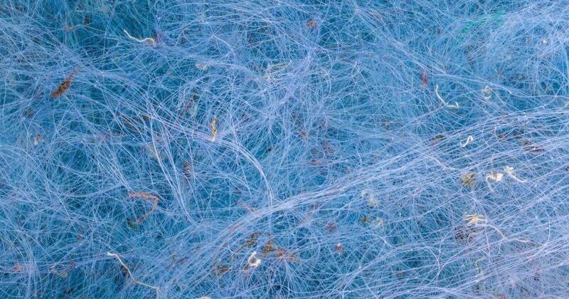 Environmental Justice Foundation | Press Comment: Implementation is…