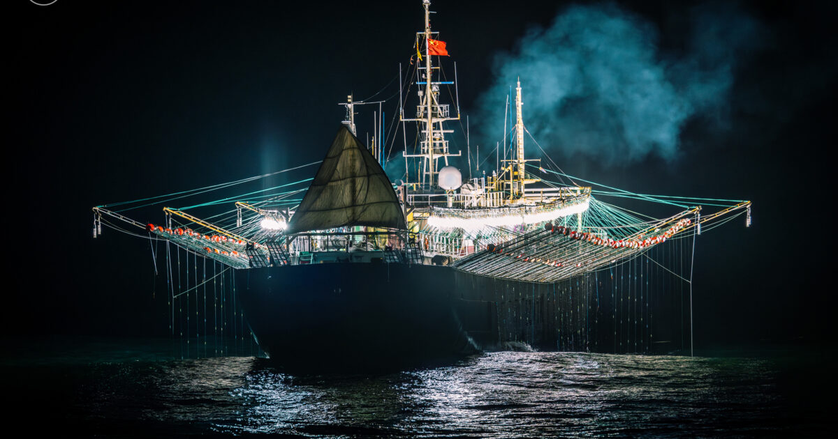 Environmental Justice Foundation | Global squid fleets exposed: new…