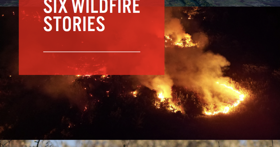 Environmental Justice Foundation | Where there's smoke: six wildfire…