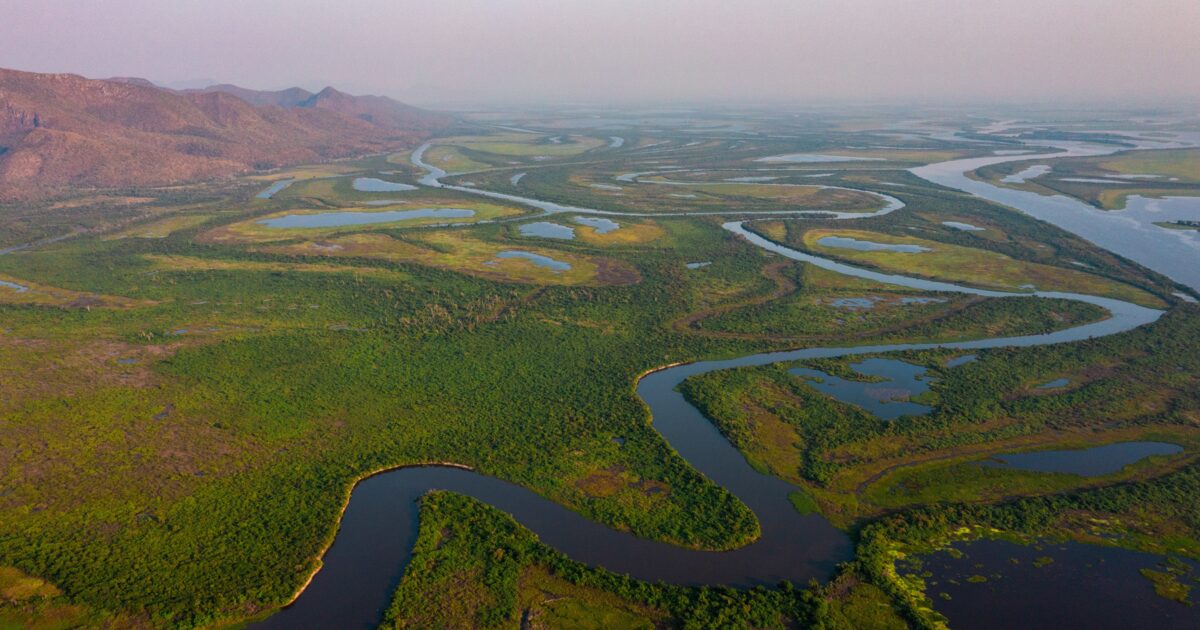 Environmental Justice Foundation | COP30: EJF calls for urgent global…