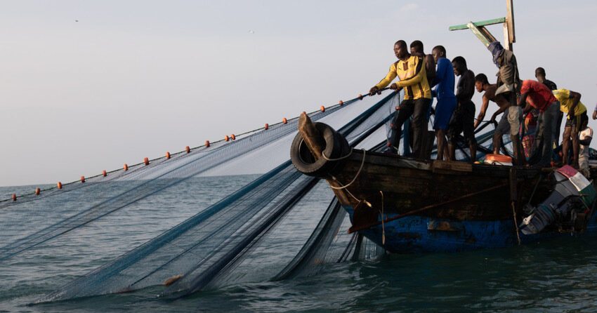 Environmental Justice Foundation | To save fish stocks Ghana must…