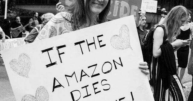 Environmental Justice Foundation | The Amazon is burning, but there…