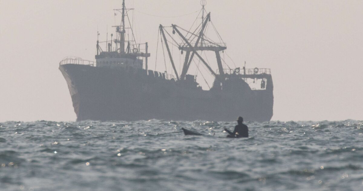 Environmental Justice Foundation | How to eradicate illegal fishing