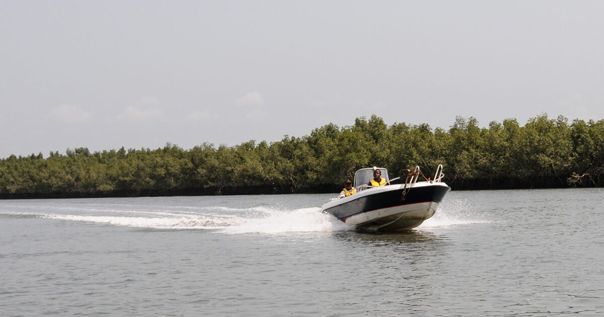 Environmental Justice Foundation | The EJF team