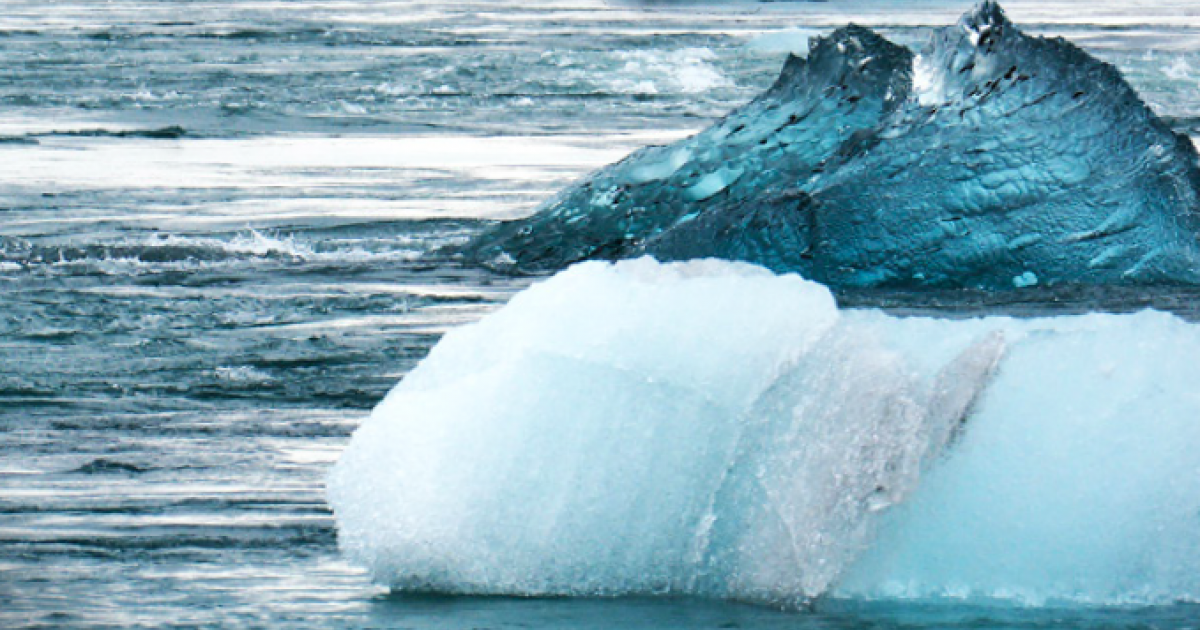 Environmental Justice Foundation | A manifesto to combat global…