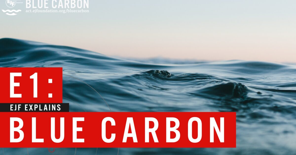 Environmental Justice Foundation | Blue carbon | Explainer