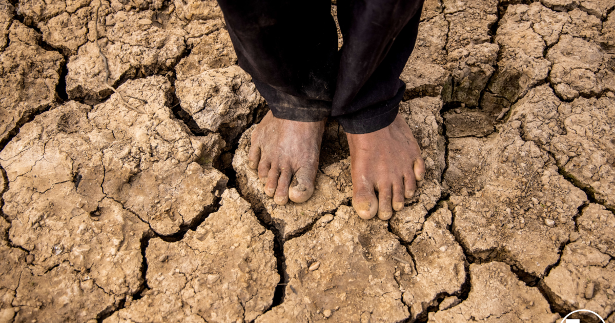 Environmental Justice Foundation | IPCC report confirms the urgent…