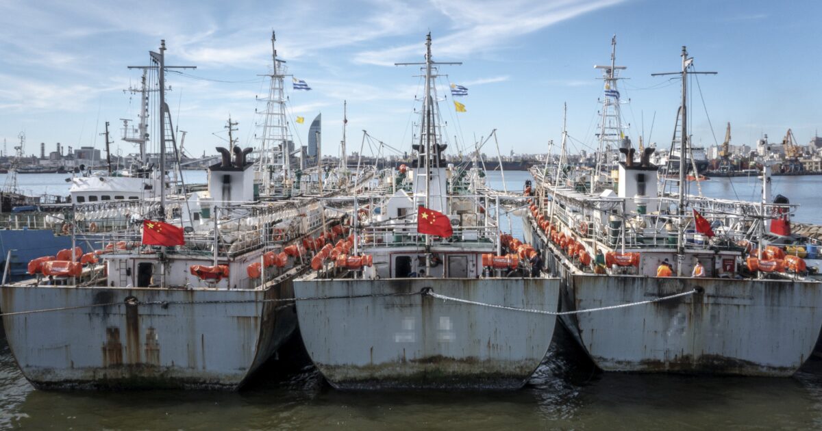 Environmental Justice Foundation | China’s fisheries policies foster…