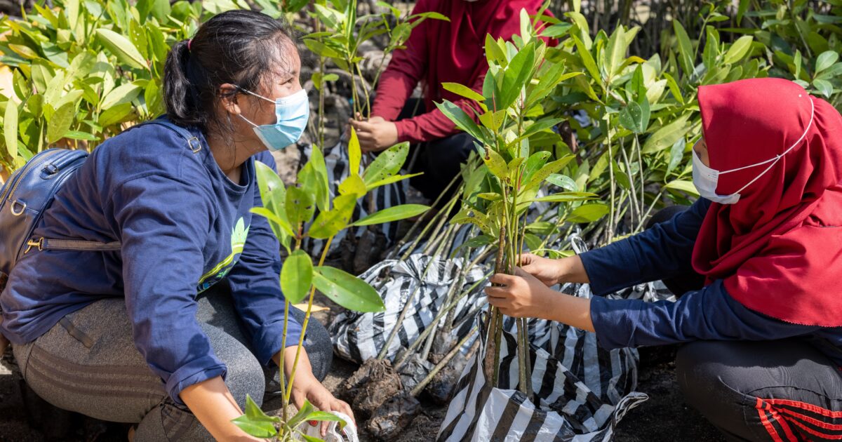 Environmental Justice Foundation | Natural solutions are worth more…