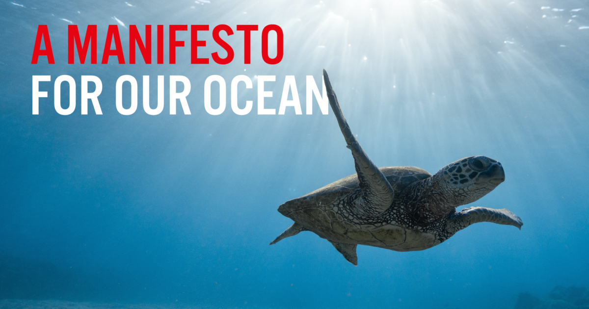 Environmental Justice Foundation | A manifesto for our ocean