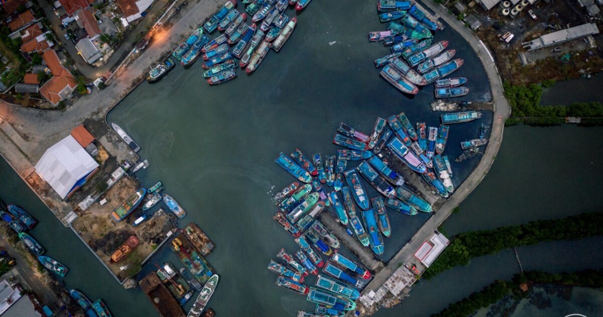 Environmental Justice Foundation | EU lifts warning over Taiwan’s…