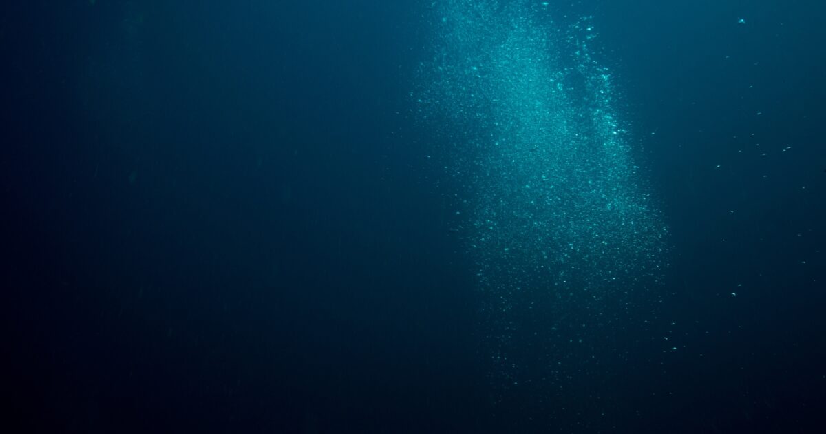 Environmental Justice Foundation | The rush to mine the deep sea will…