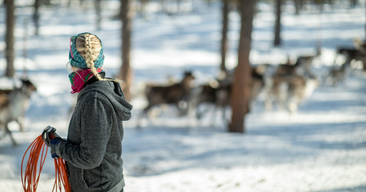 Environmental Justice Foundation | Show solidarity with the Sami to…