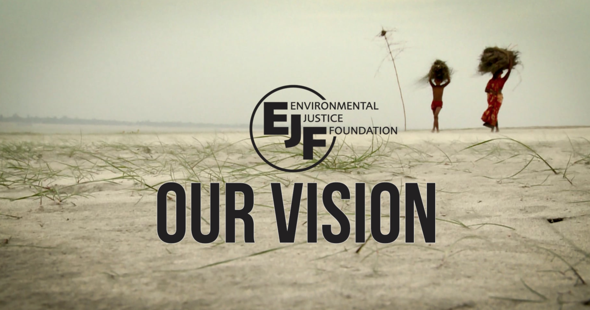 Environmental Justice Foundation | Our Vision