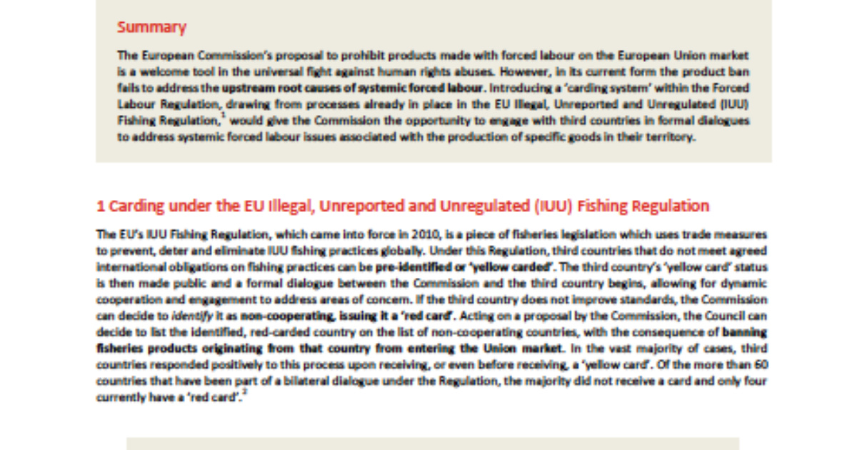 Environmental Justice Foundation | Forced Labour Regulation: a…