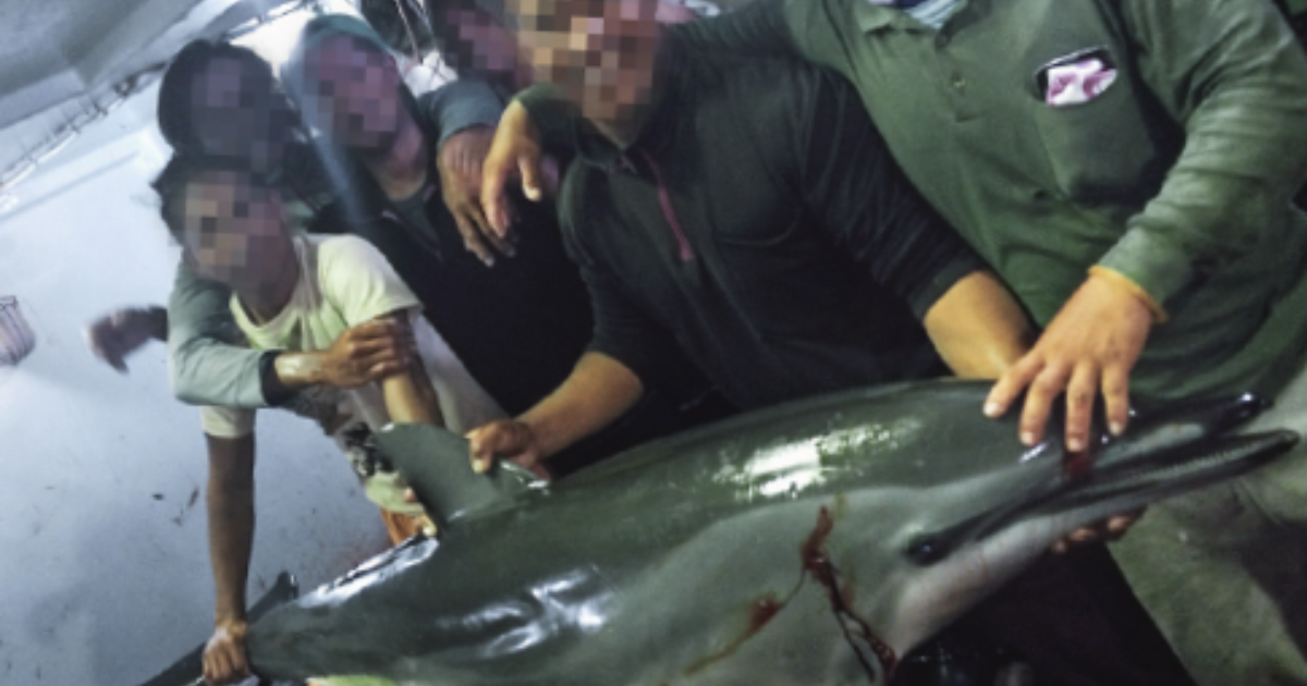 Environmental Justice Foundation | Illegal fishing and human rights…