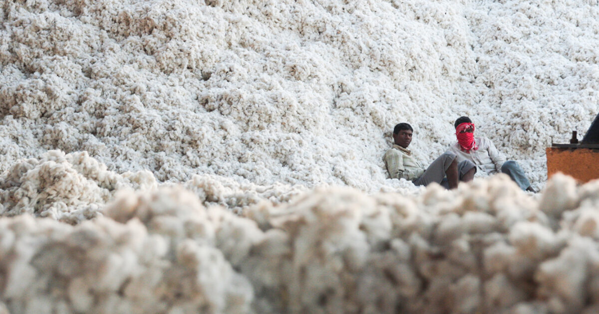 Environmental Justice Foundation | How our clothes fuel the climate…